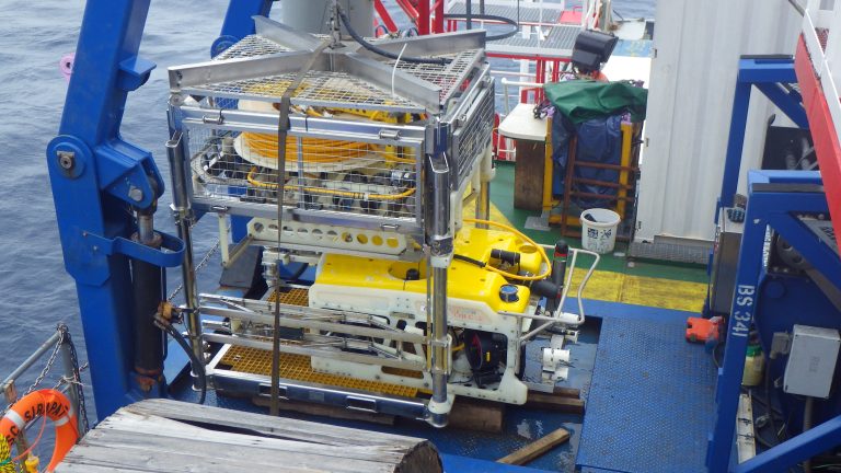 Services – Project Beacon